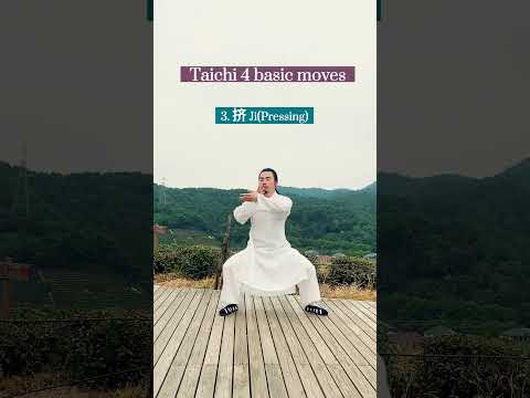 Unveiling the 4 Chins in Tai Chi