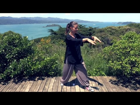 Tai Chi Yang: Unveiling the Essential First Moves for Beginners