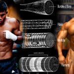 Effective Contrast Training Workout Plan for Maximum Results